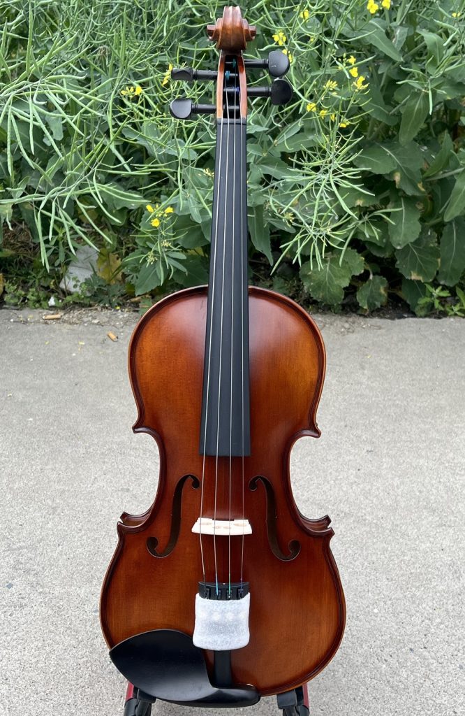 Satin Dark Red Brown Flame Maple Violin - Sinomusic