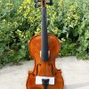 Glossy Spraying Colour Laminated Violin - Sinomusic