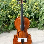 Glossy Spraying Colour Laminated Violin - Sinomusic