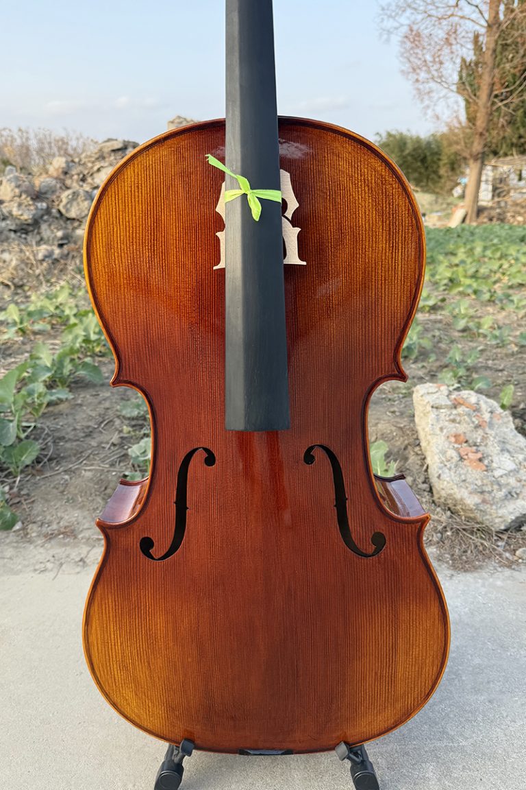 Full Hand Applied Spirit Varnish Nice Flame Maple Professional Cello ...
