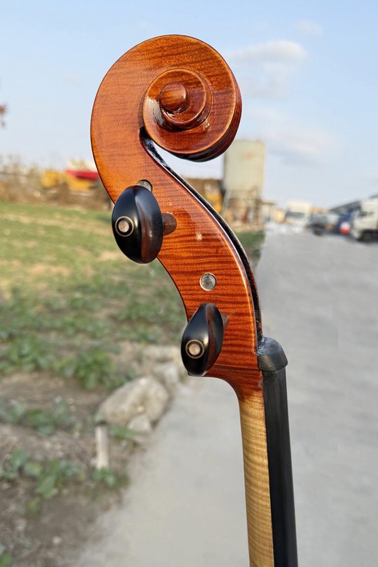 Full Hand Applied Spirit Varnish Nice Flame Maple Professional Cello ...