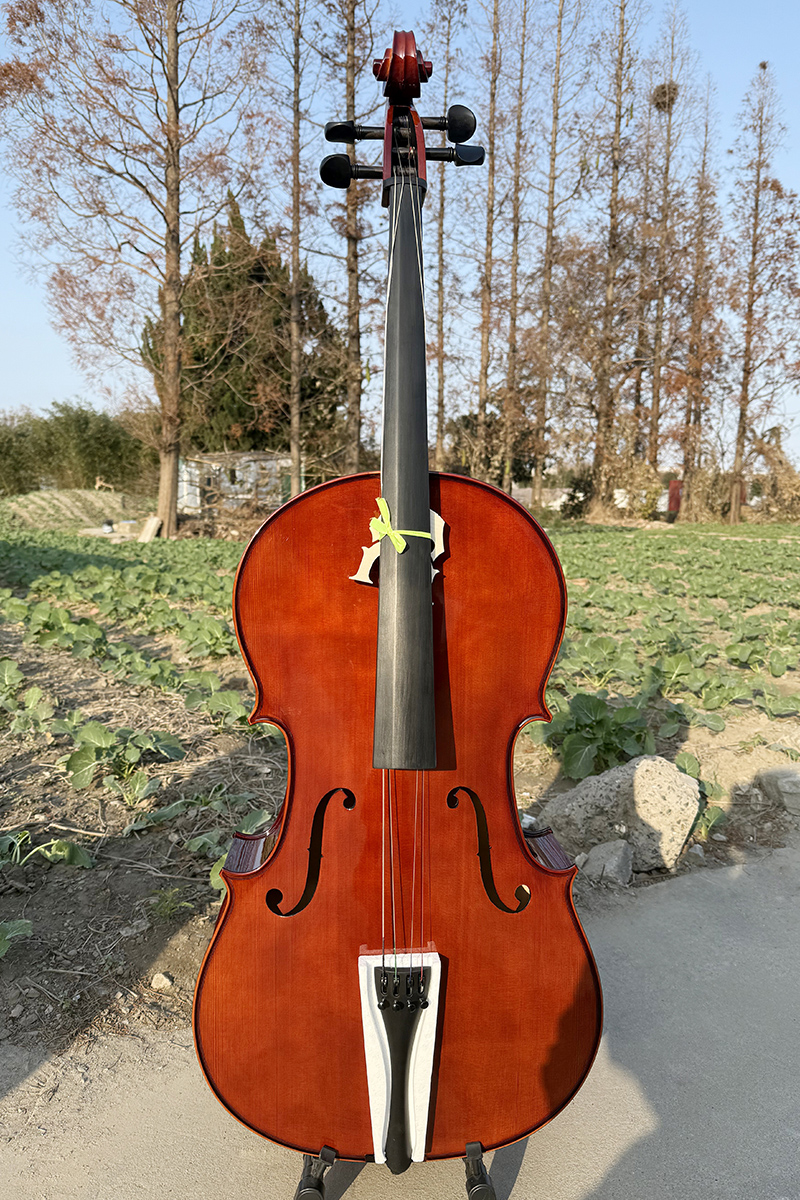 Glossy Red Brown Handed Varnished Flame Maple Cello HC35 - Sinomusik String Instruments
