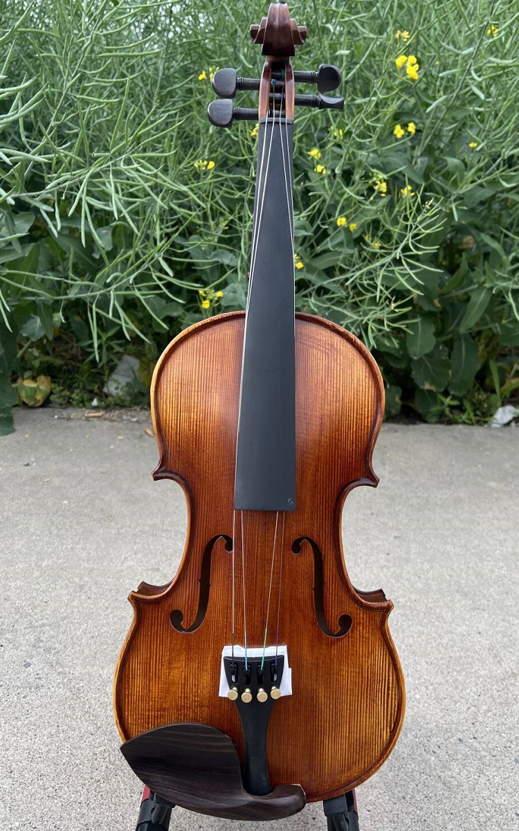 Satin Red Brown Flame Maple Violin MVT800 - Sinomusic