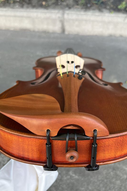 Strad 1716 Year European Material Violin T15B - Sinomusik String ...