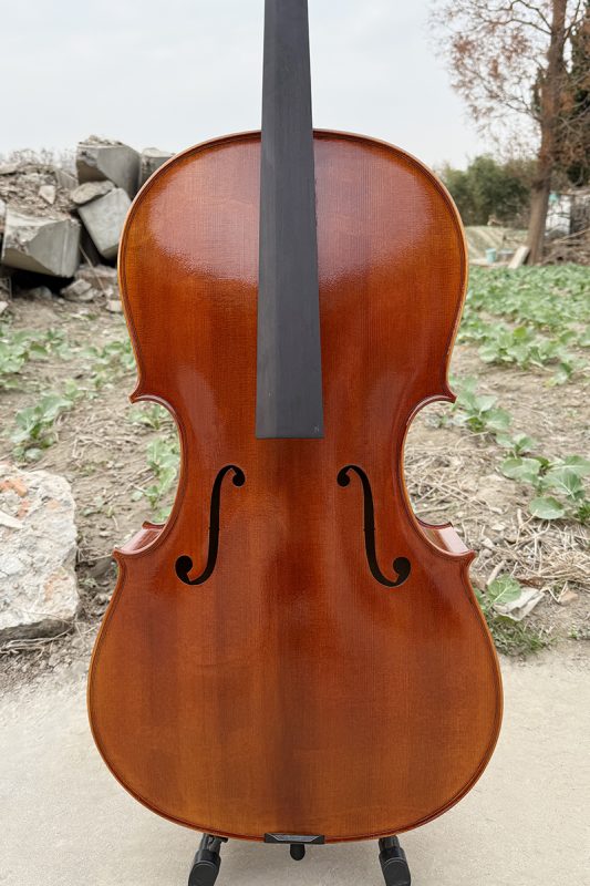 1712 Year Davidoff Russian Spruce American Flame Maple Cello HC06 ...
