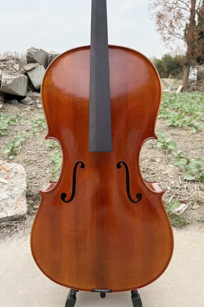 1712 Year Davidoff Russian Spruce American Flame Maple Cello HC06 ...
