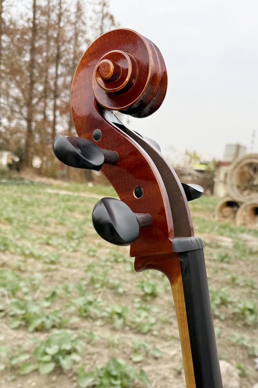 1712 Year Davidoff Russian Spruce American Flame Maple Cello HC06 ...