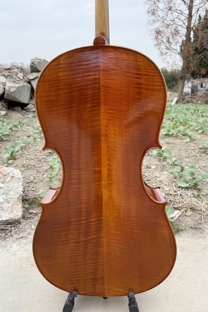 1712 Year Davidoff Russian Spruce American Flame Maple Cello HC06 ...